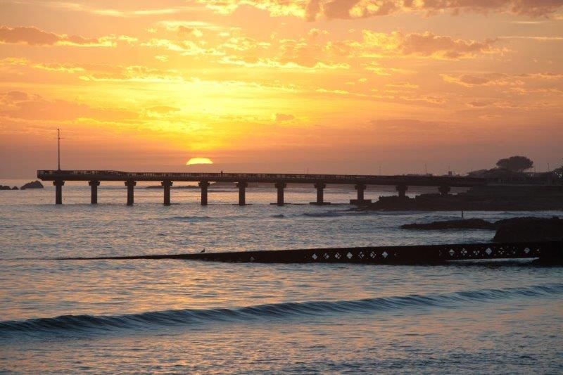 5 Reasons to Visit Nelson Mandela Bay – Blog – Nelson Mandela Bay ...